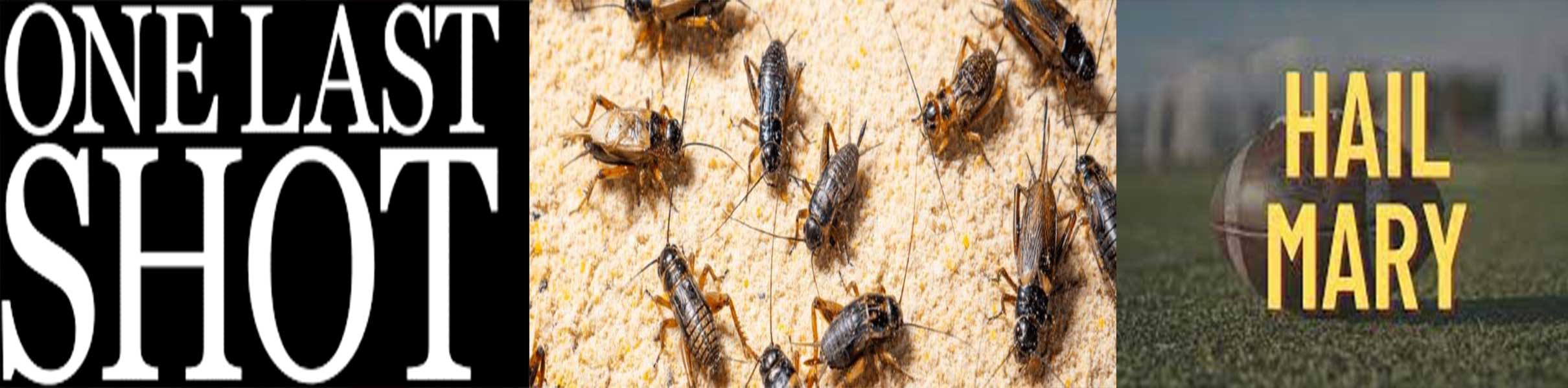 One Last Shot - Leading Sales Management and Sales Training